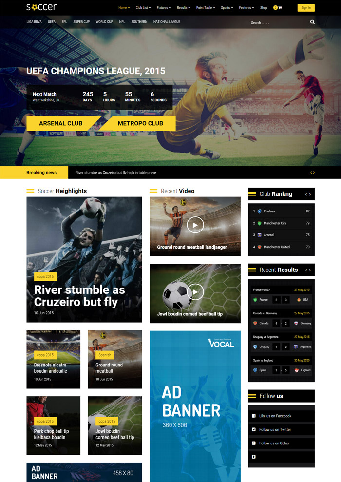 10 + Outstanding Premium WordPress Sports Themes