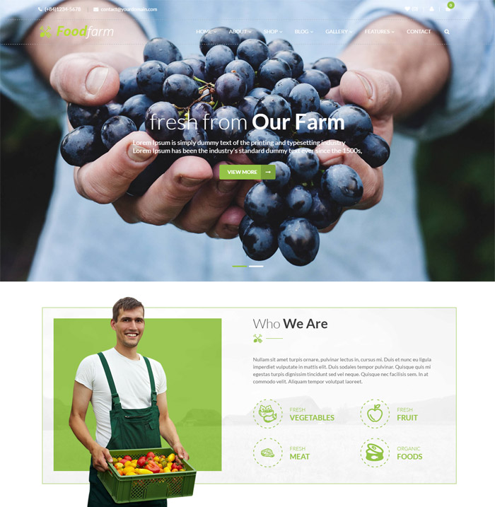Retailing themes from WordPress for online shopping