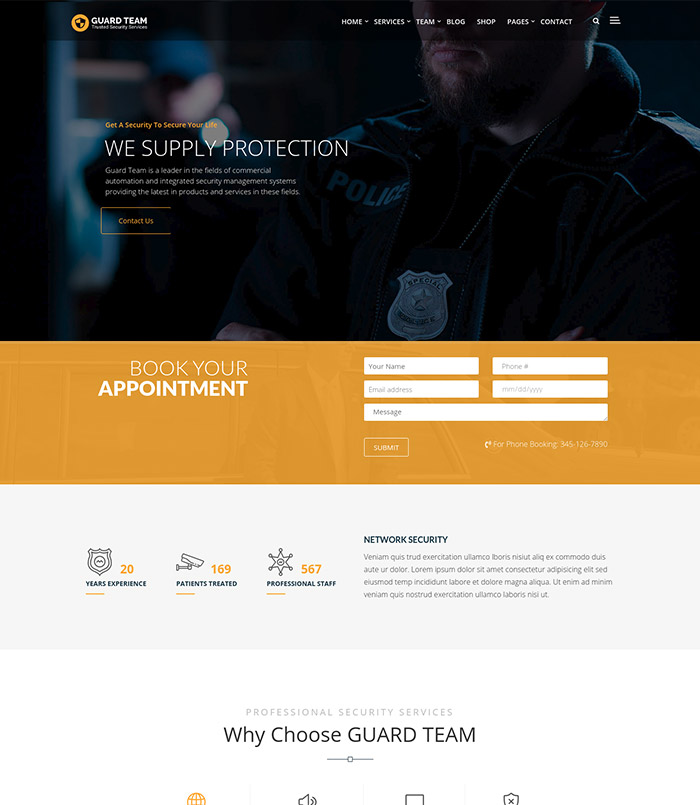 Security WordPress themes ensure safety and security