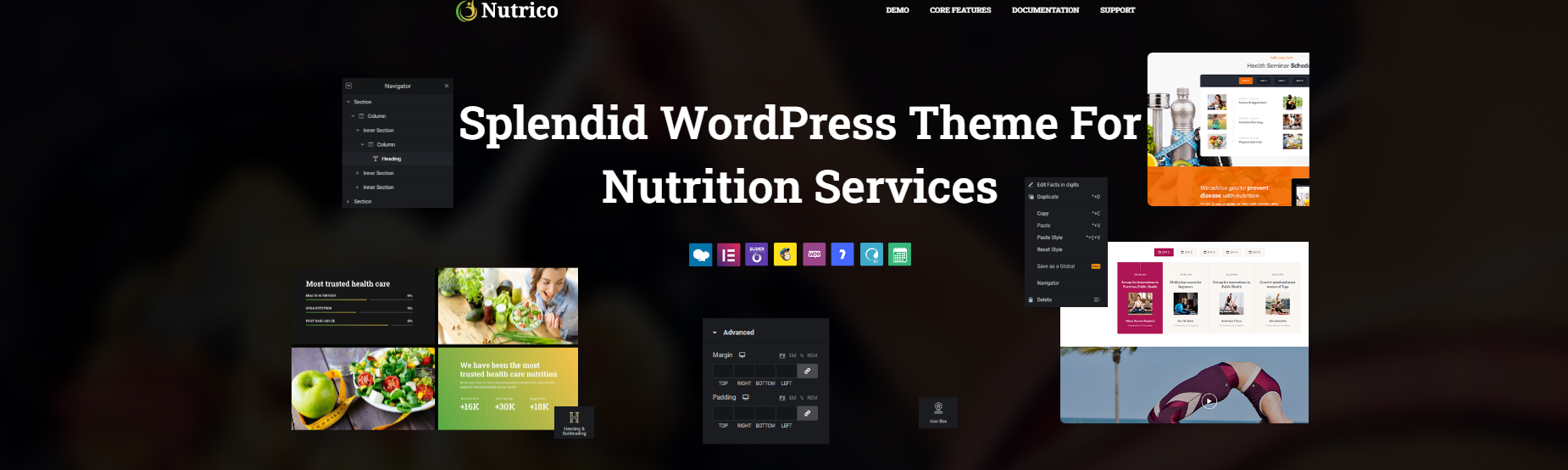 10+ Diet website template for download - Wedesignthemes Blog